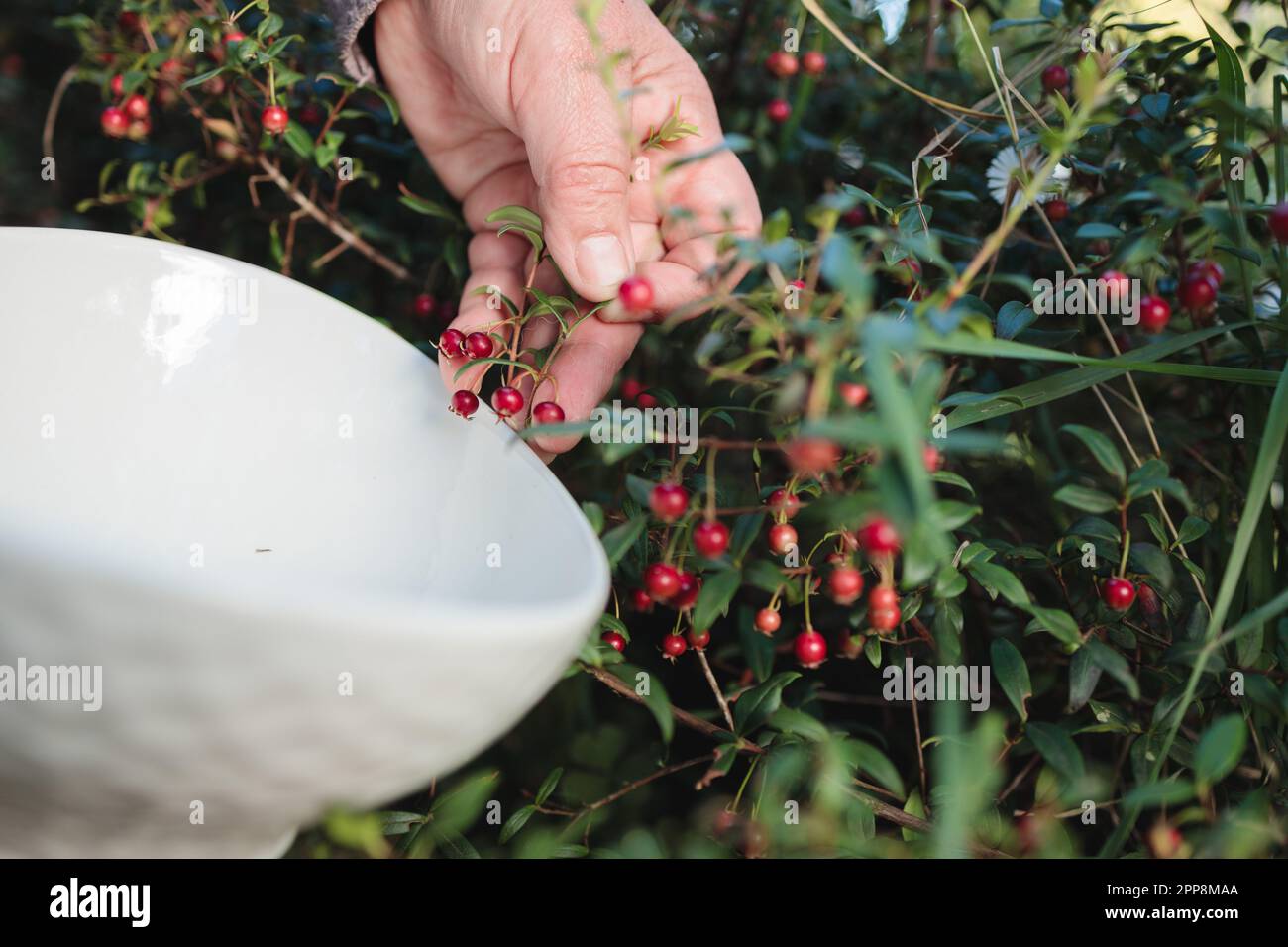 The power of vitamins hi-res stock photography and images - Alamy