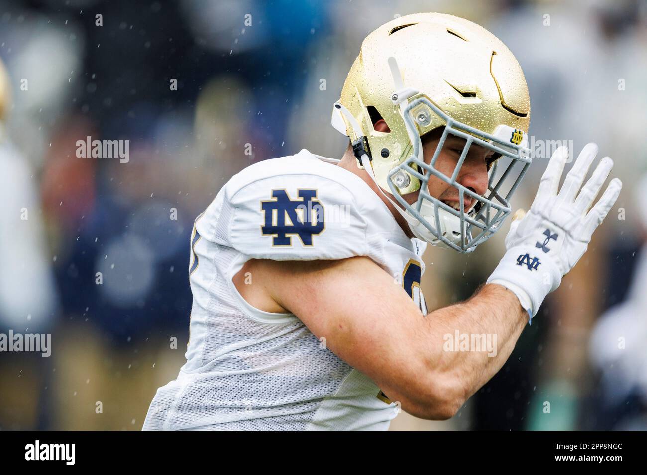 Cal rubio hi-res stock photography and images - Alamy