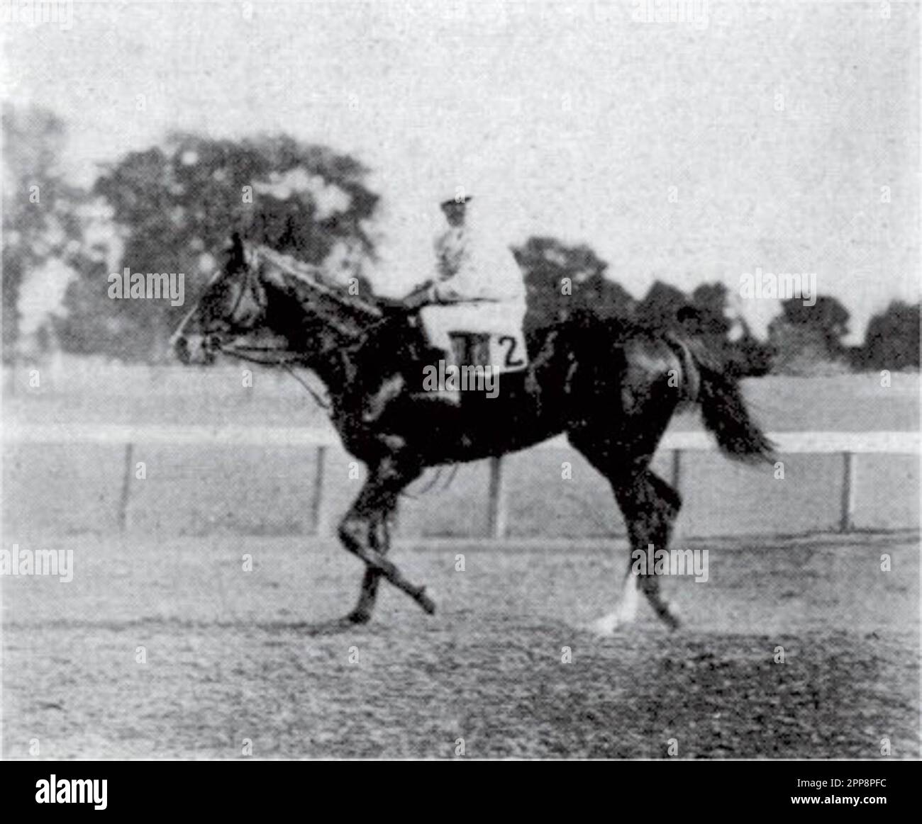 Ballot (April 18, 1904 – May 16, 1937) was an American two-time Champion Thoroughbred racehorse ...