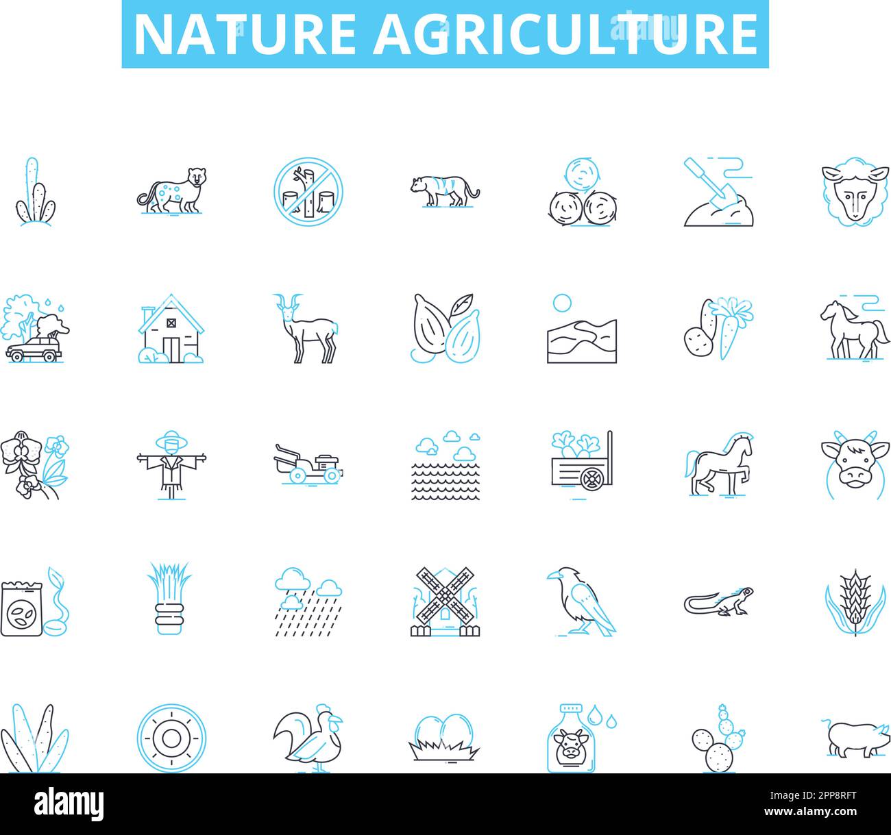 Intercropping Stock Vector Images - Alamy