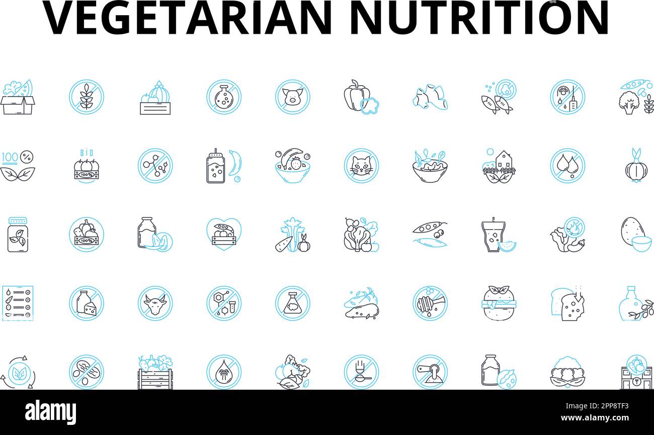 vegetarian nutrition linear icons set. Vegetables, Protein, Fiber, Iron ...