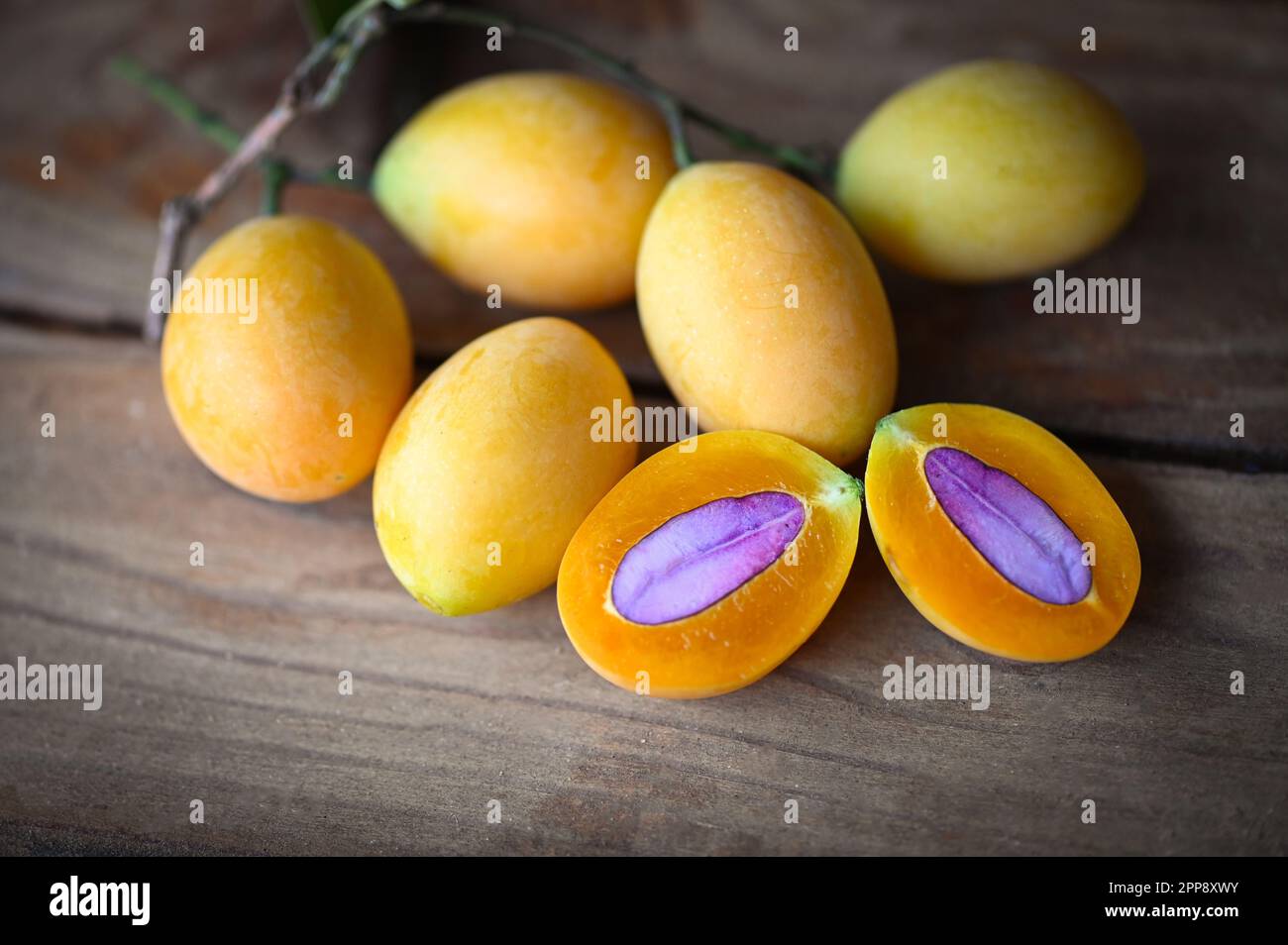 tropical fruit Name in Thailand Sweet Yellow Marian Plum Maprang Plango ...