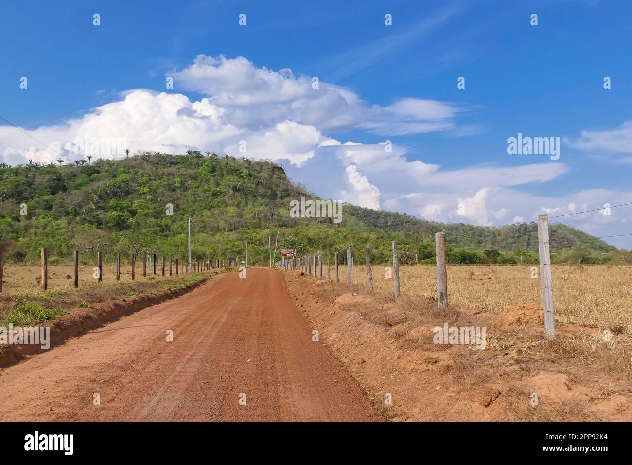 Red dirt road in the Brazilian Cerrado, framed by fences and leading ...