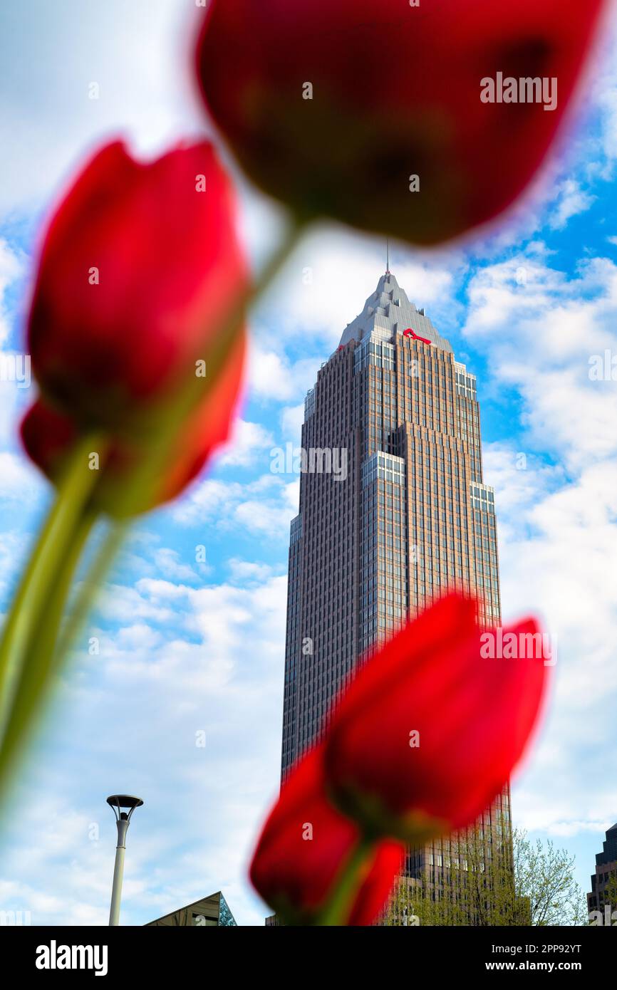 Cleveland Ohio in Spring with Tulips Stock Photo - Alamy