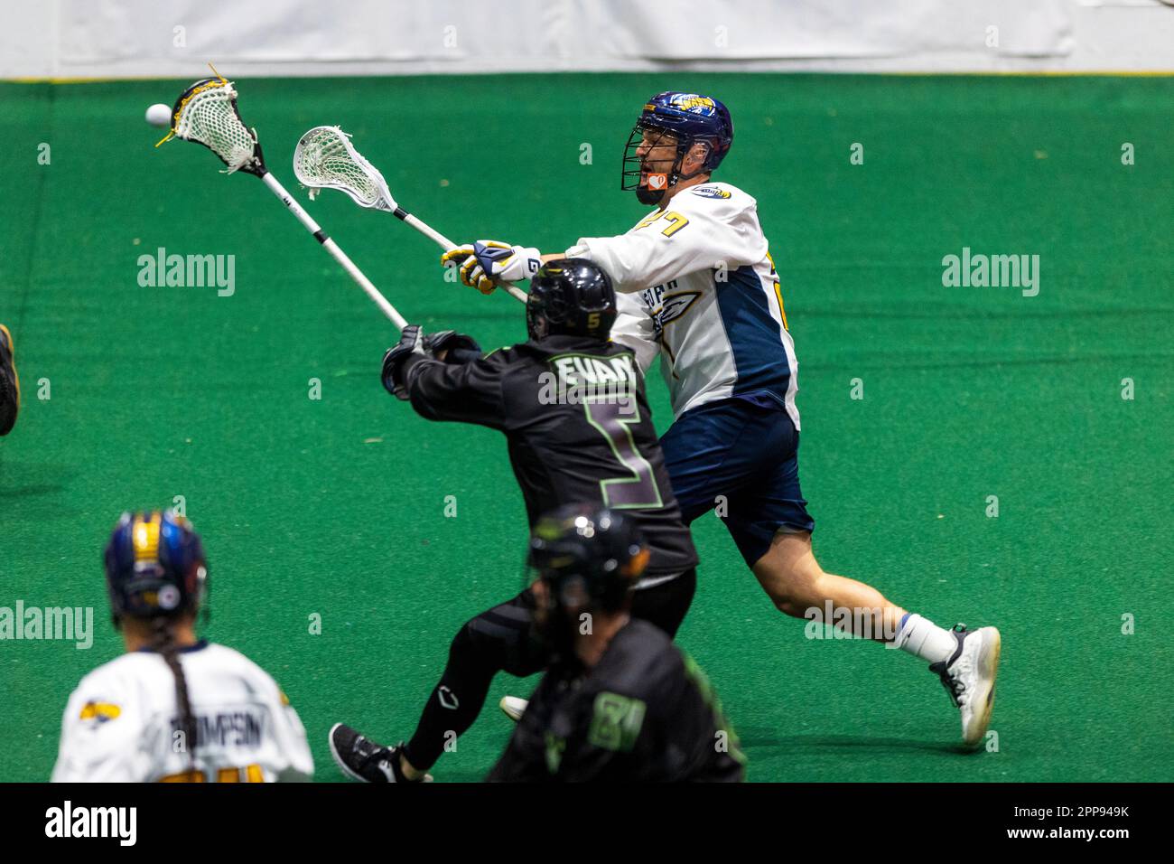 Adam wiedemann hi-res stock photography and images - Alamy