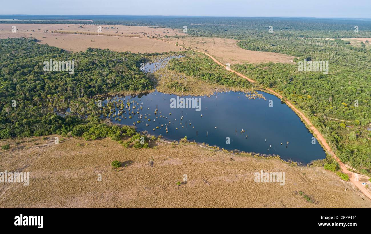 Aerial view of an Amazon lagoon surrounded partly by rests of original ...