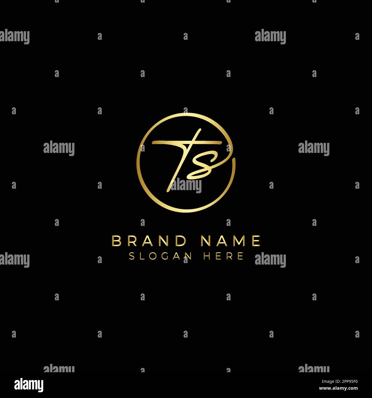 T, S, TS Initial letter handwritten and signature vector logo. Business ...