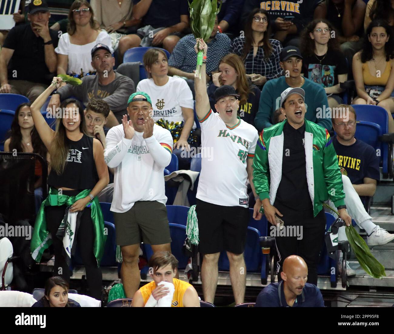 Hawaii rainbow warriors fans hi-res stock photography and images - Alamy