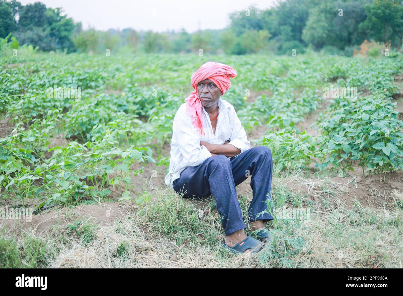 Indian poor farmer in farm, sad farmer, loss of farmer Stock Photo - Alamy