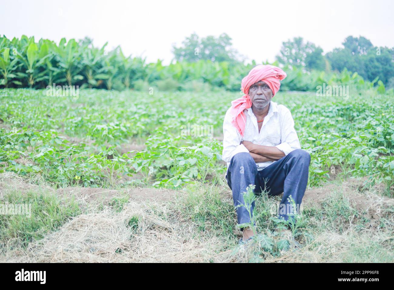 Indian poor farmer in farm, sad farmer, loss of farmer Stock Photo - Alamy