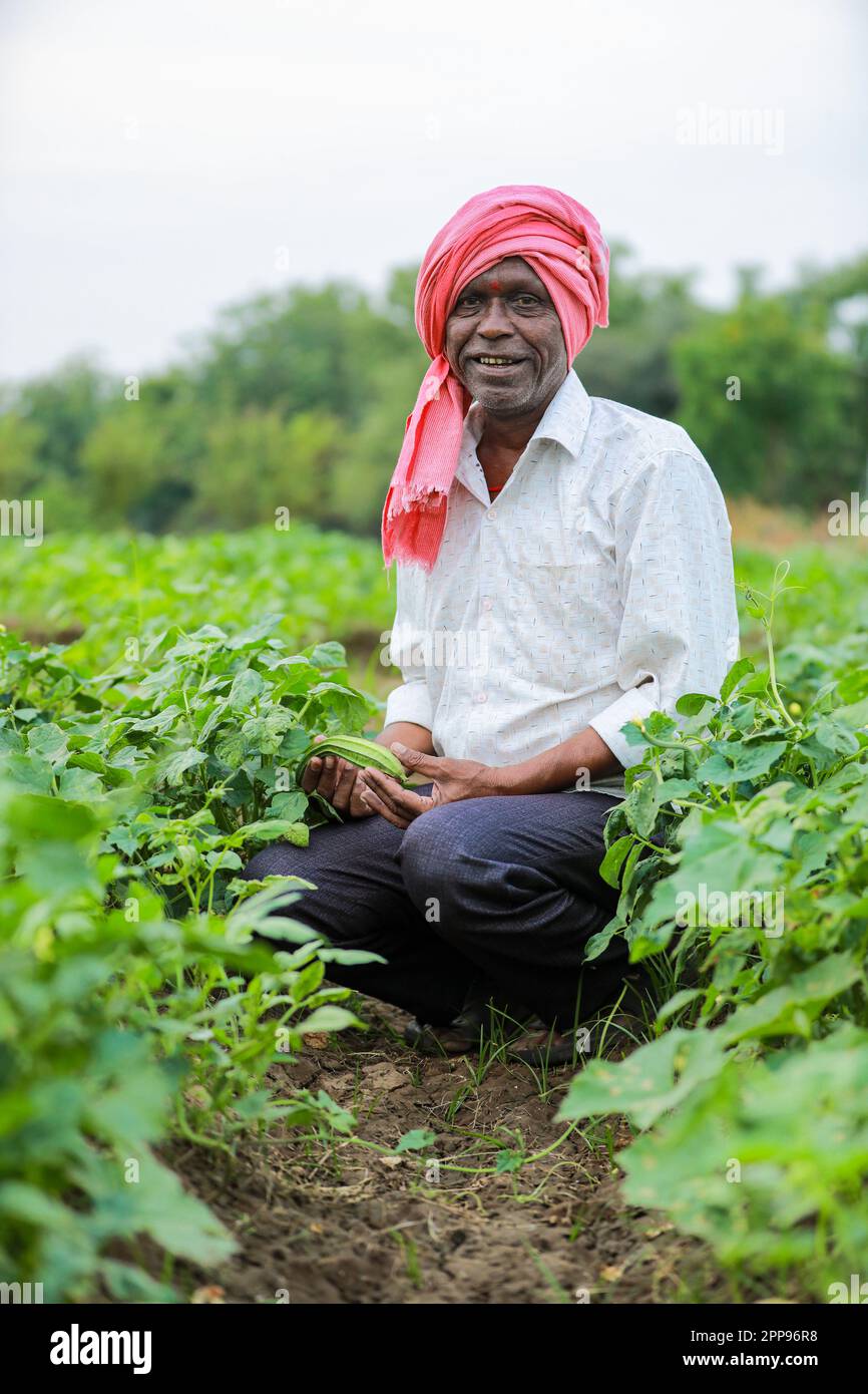 Cowpea Seeds farming, happy indian farmer, poor farmer Stock Photo - Alamy