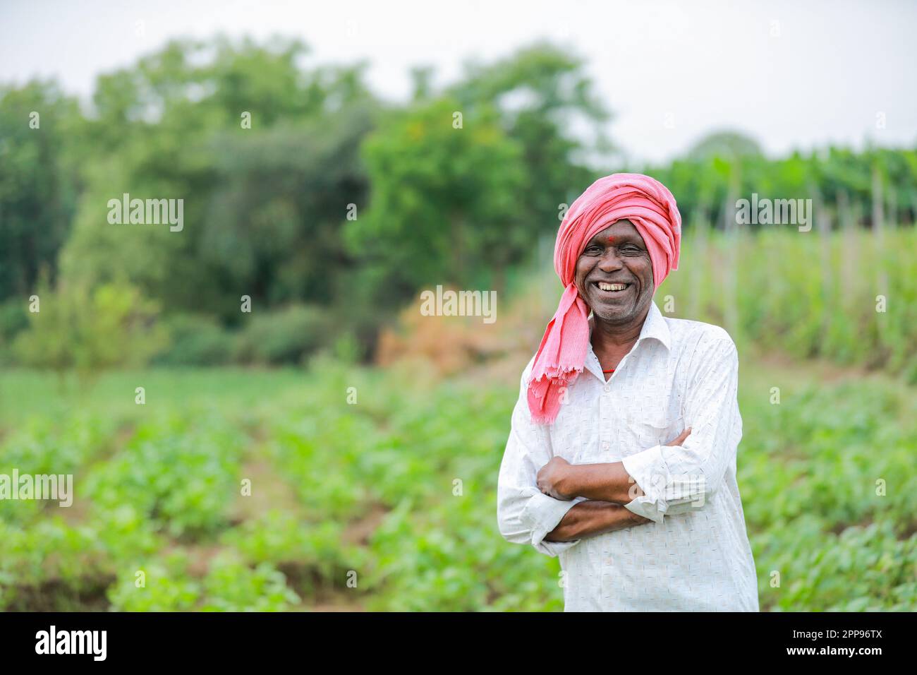 Indian farmer holding tomato in hands, happy farmer Stock Photo - Alamy