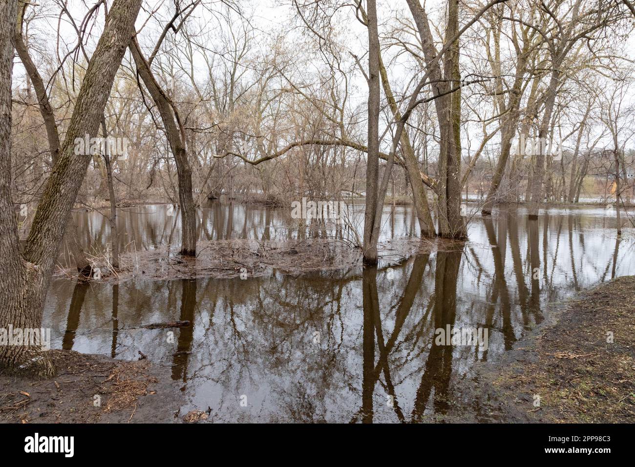 Spring Flooding of the Mississippi River north of Minneapolis in ...