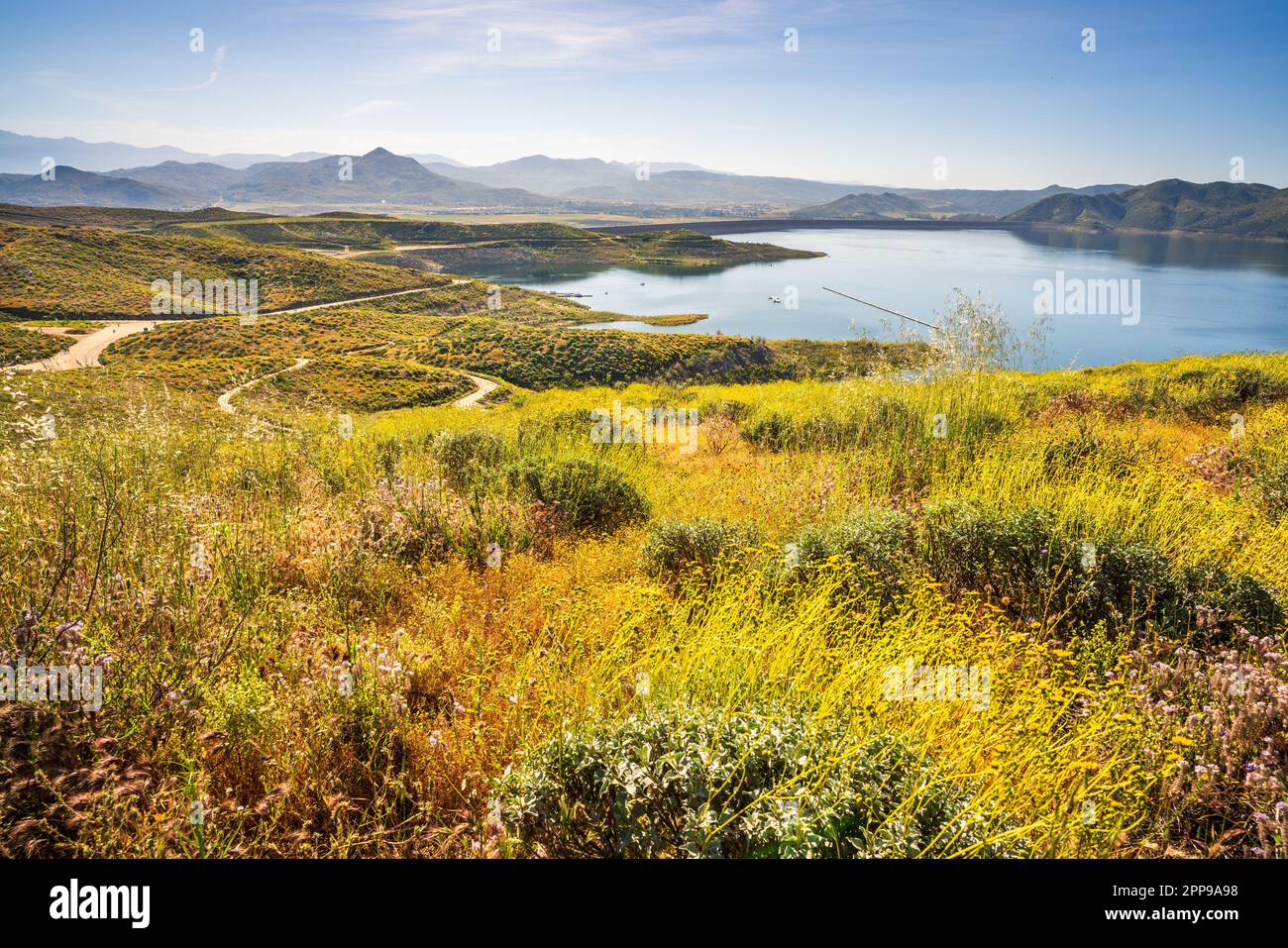 California Wildflowers Super Bloom Stock Photo - Alamy