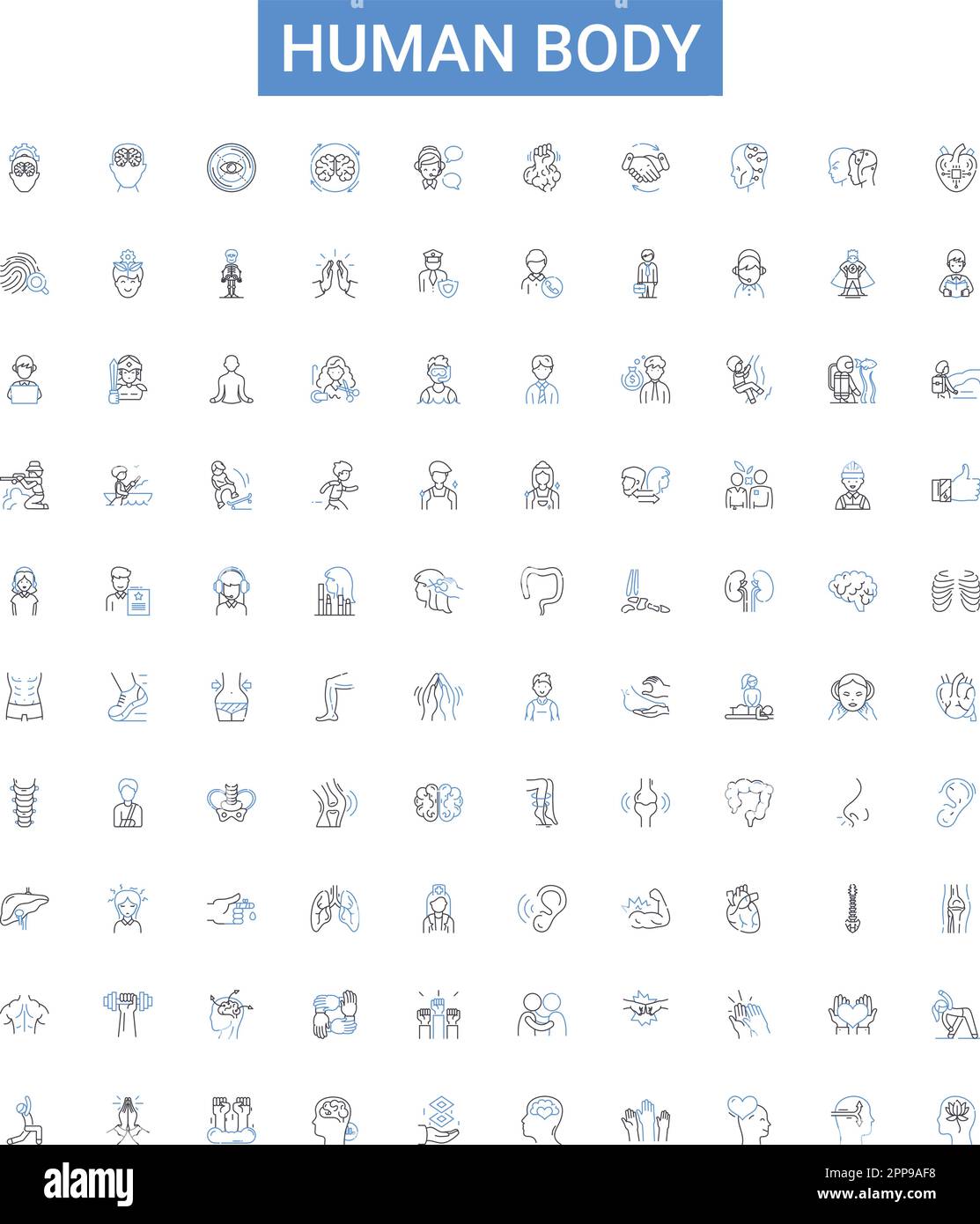 Human body outline icons collection. Anatomy, Organ, Skeleton, Muscle ...