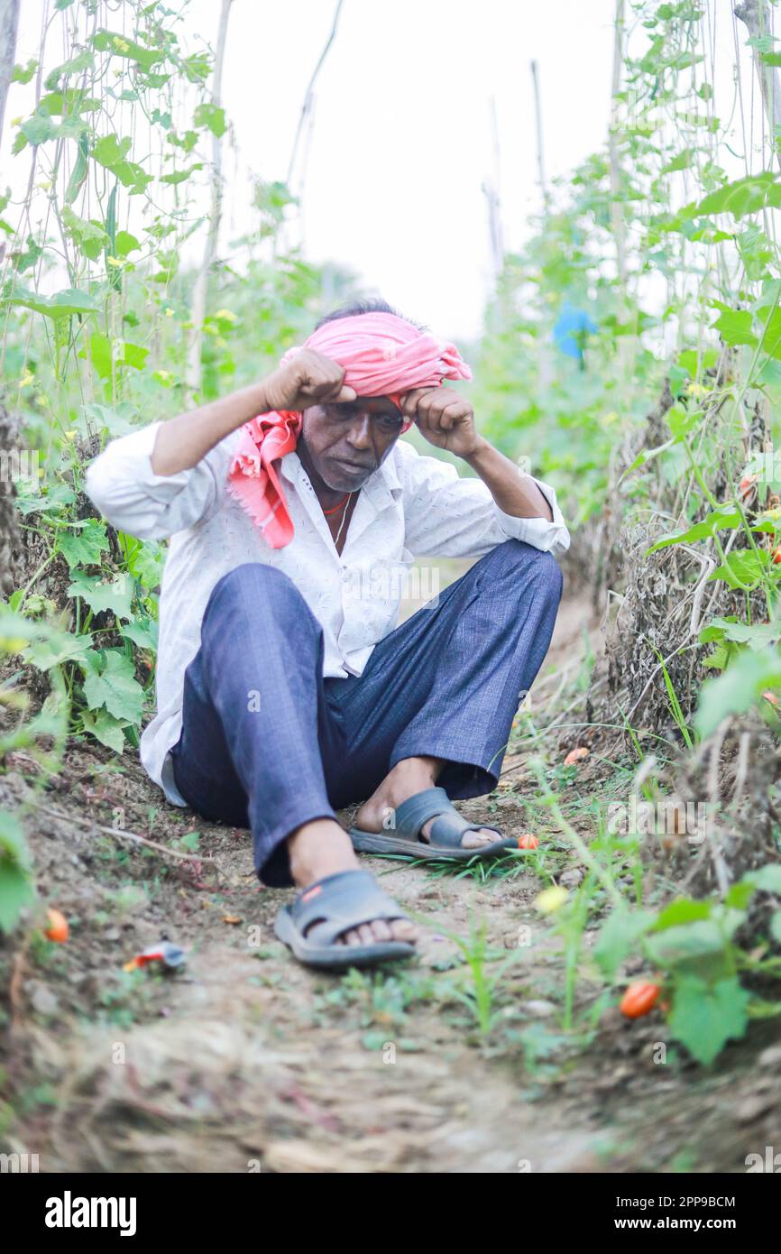 Indian poor farmer in farm, sad farmer, loss of farmer Stock Photo - Alamy