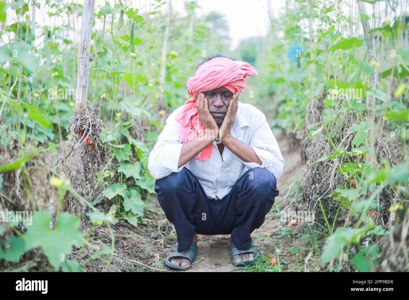 Indian poor farmer in farm, sad farmer, loss of farmer Stock Photo - Alamy