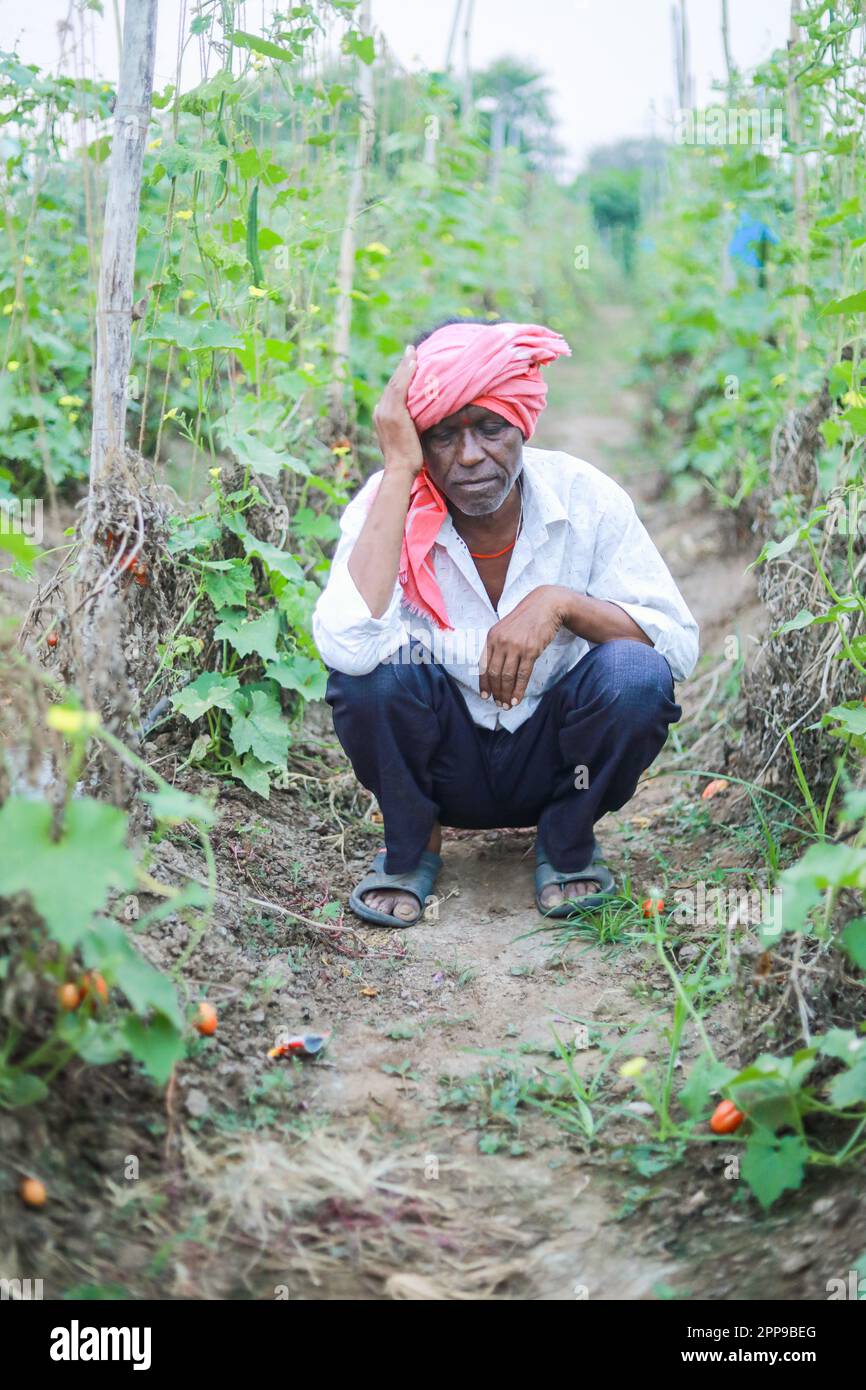Indian poor farmer in farm, sad farmer, loss of farmer Stock Photo - Alamy