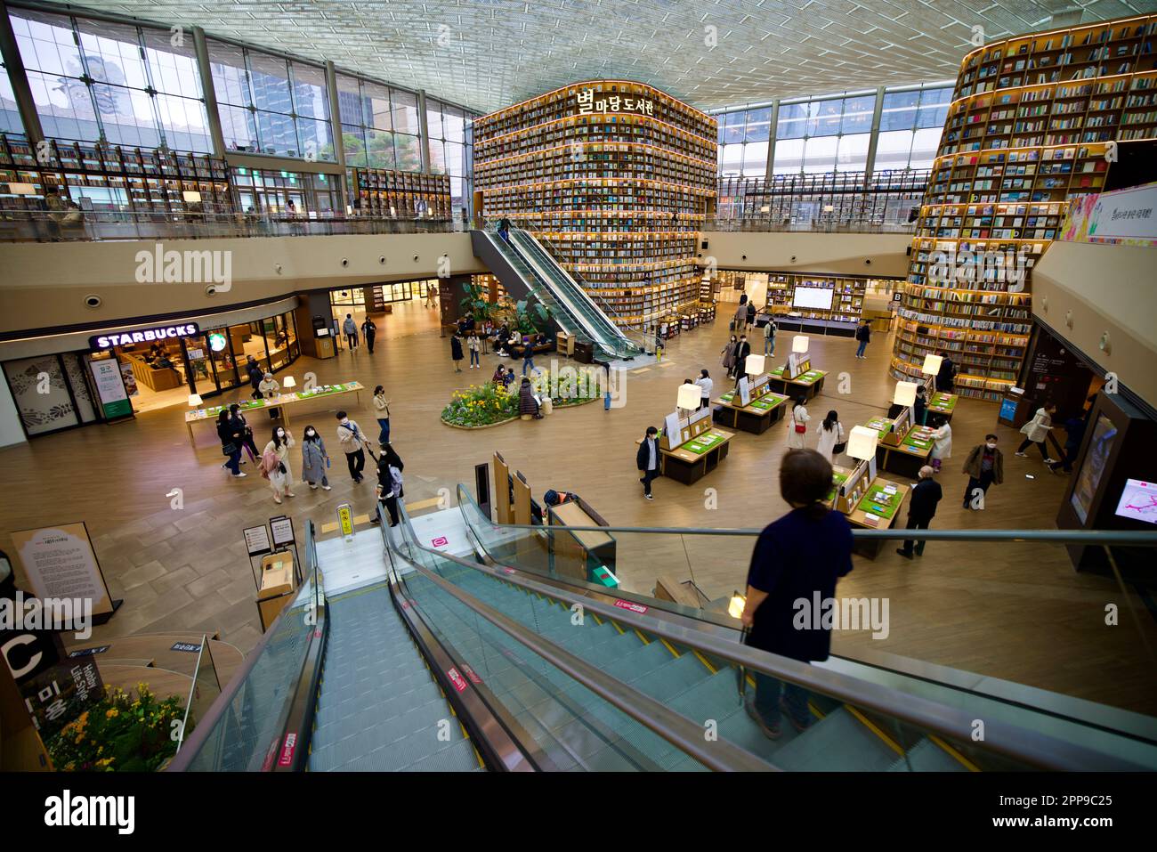 The most amazing Library, Coex Mall, South Korea Stock Photo - Alamy