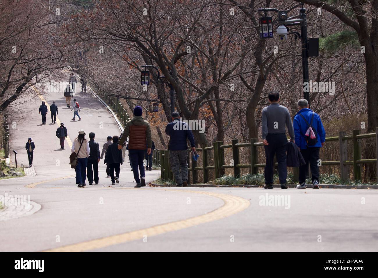 Hiking at Namsam Park, Seoul, South Korea Stock Photo - Alamy