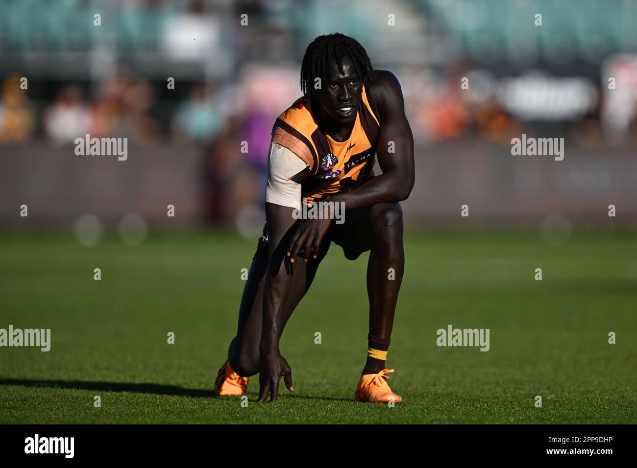 Changkuoth Jiath of Hawthorn looks on after being defeated by the ...