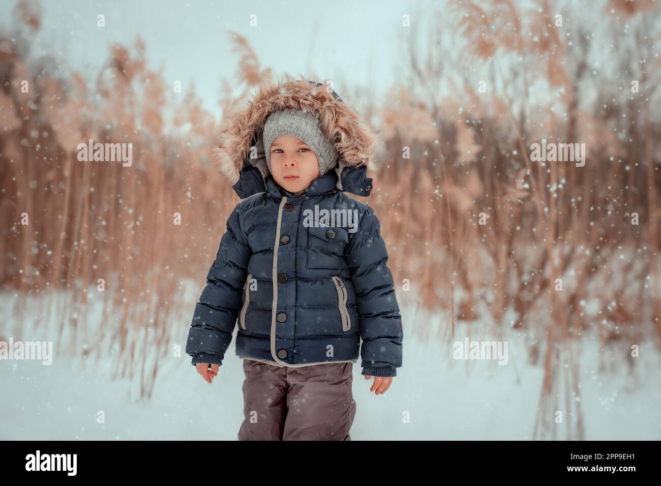 Cute little boy on a snowy field Stock Photo - Alamy
