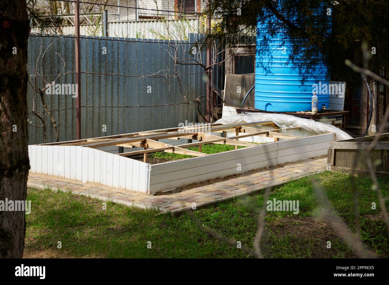 Handmade greenhouse to protect growing greenery from cold and wind ...