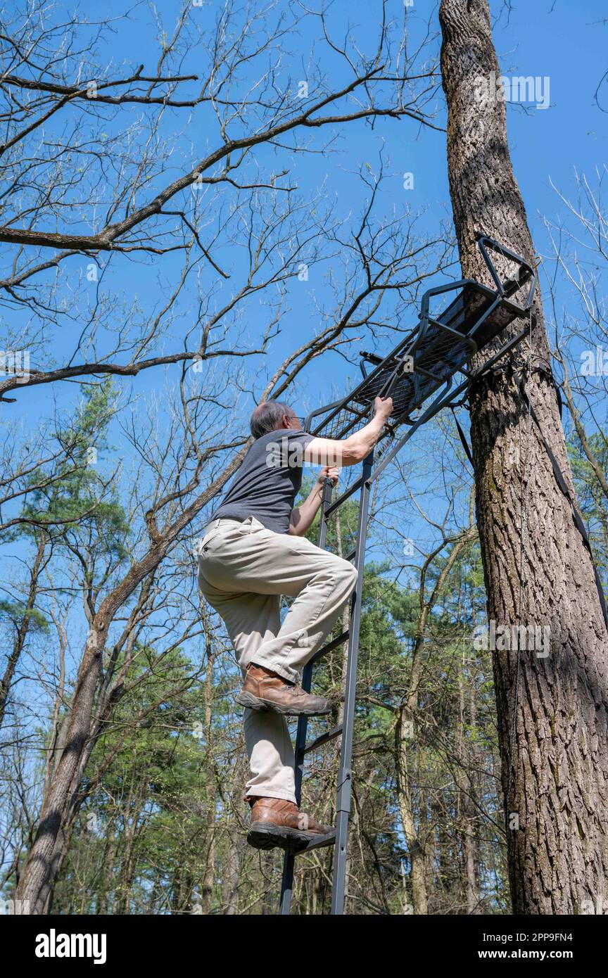 Early man hunting hi-res stock photography and images - Alamy
