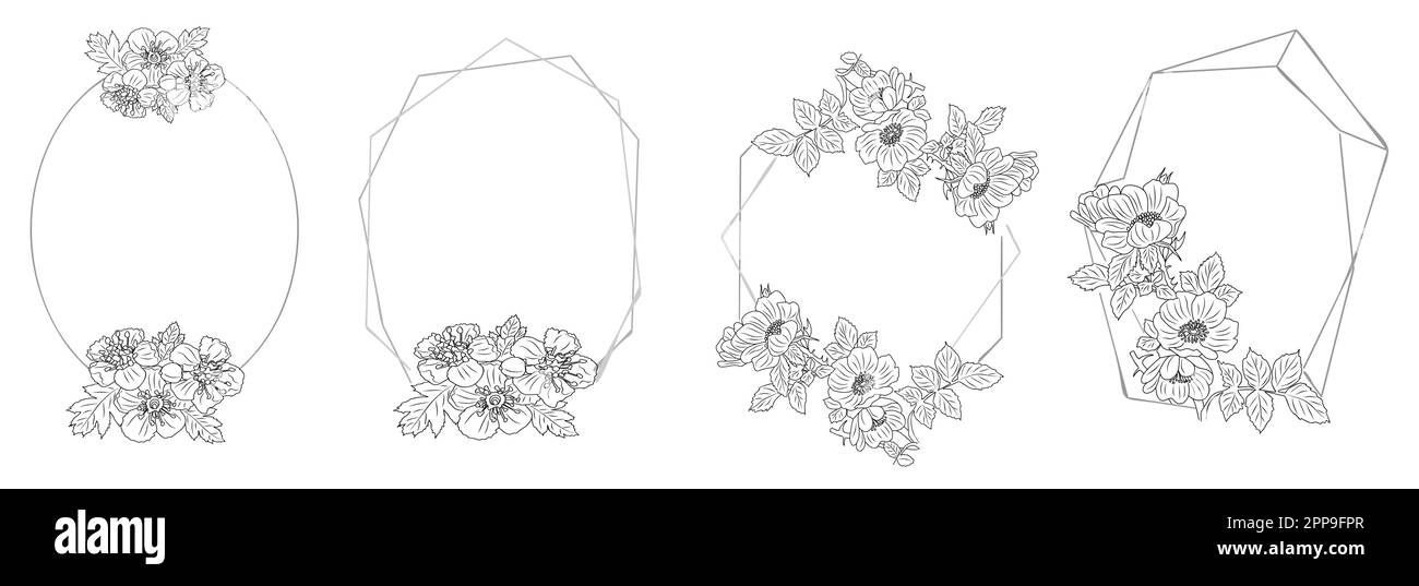 Hawthorn May birth month flower geometric frames Stock Vector Image ...