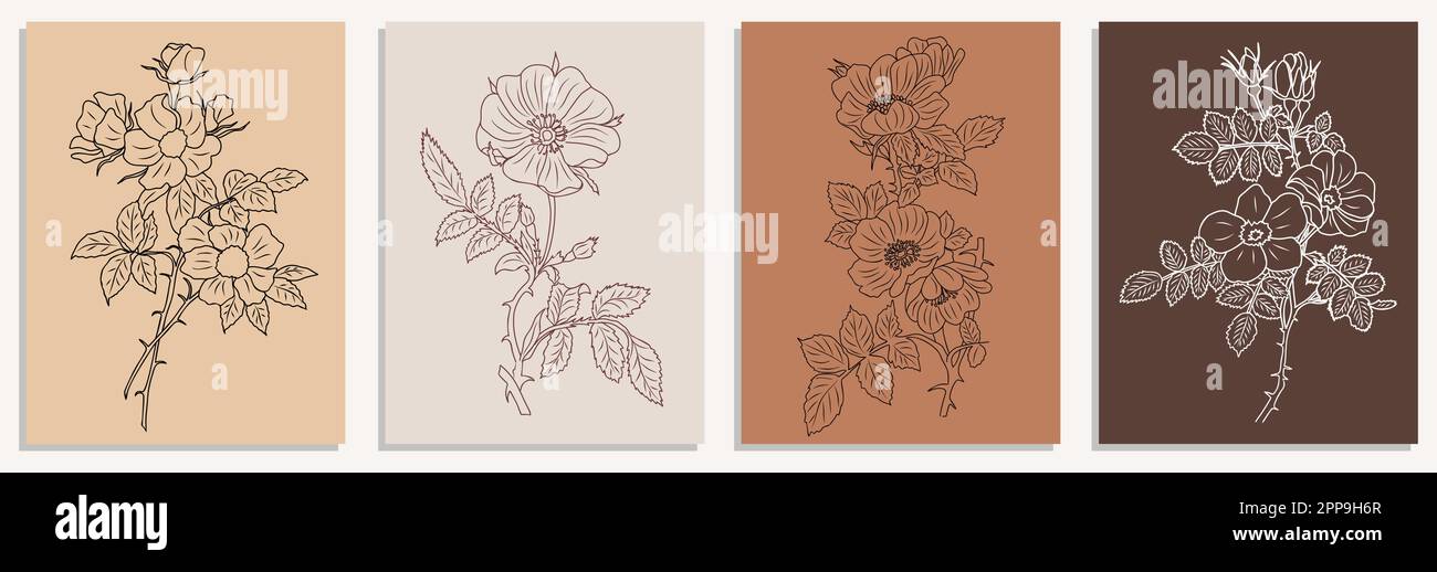 Hawthorn May birth flower Line Drawing Print Set Stock Vector Image ...