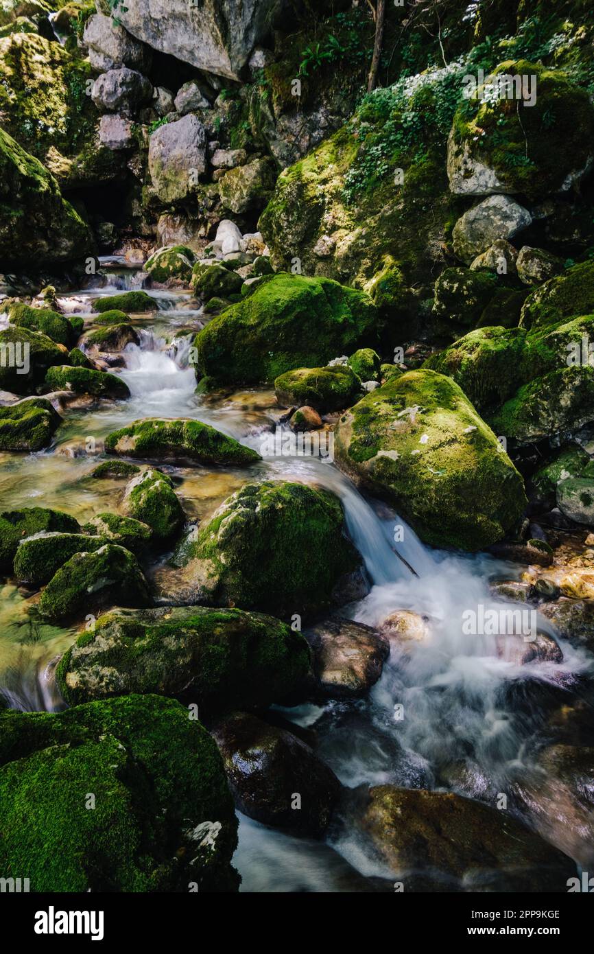 Waterfalls of the Cholet river in the French Alps, near Pont En Royans ...
