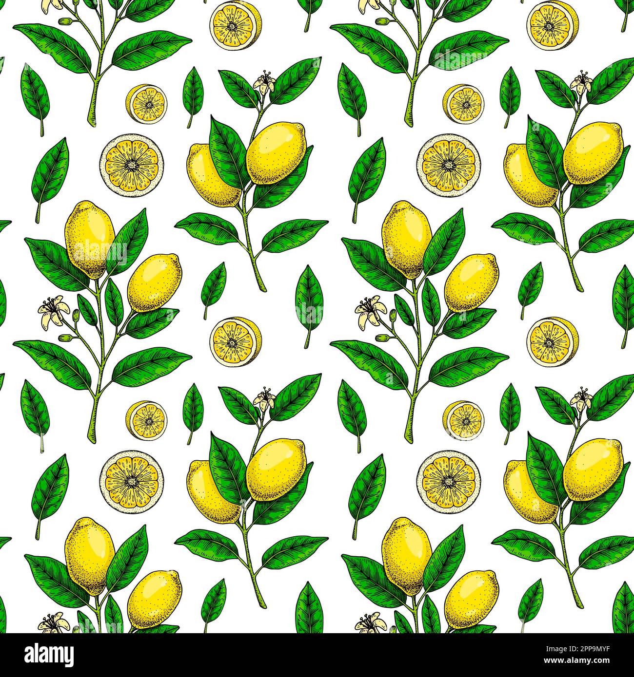 Lemon seamless pattern. Colorful hand drawn vector illustration in ...