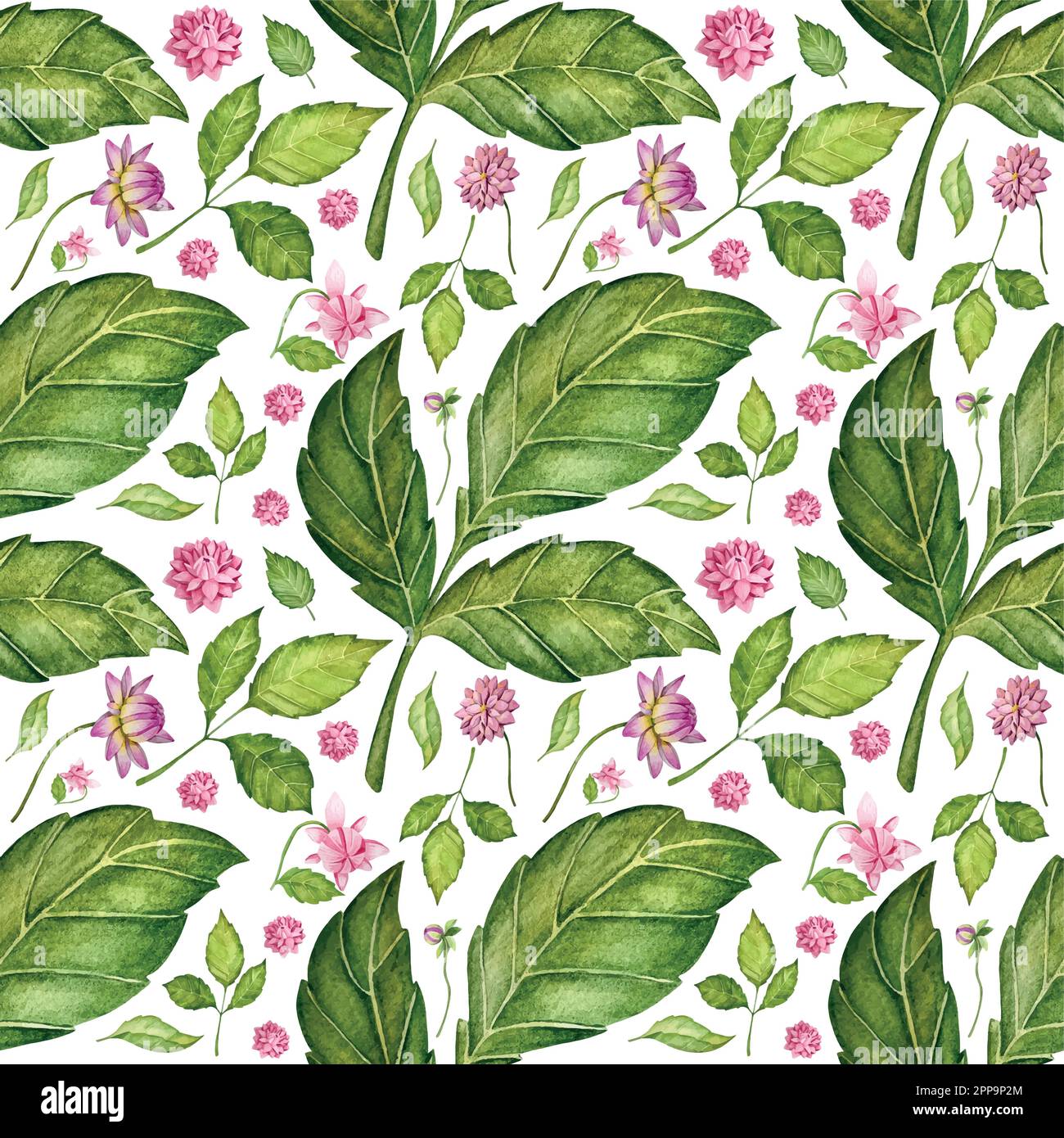 Watercolor vector dahlia flowers set decorations. Elements with flowers ...