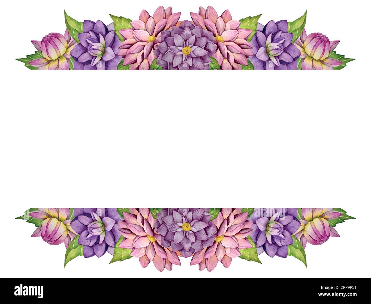 Watercolor vector dahlia flowers set decorations. Elements with flowers ...