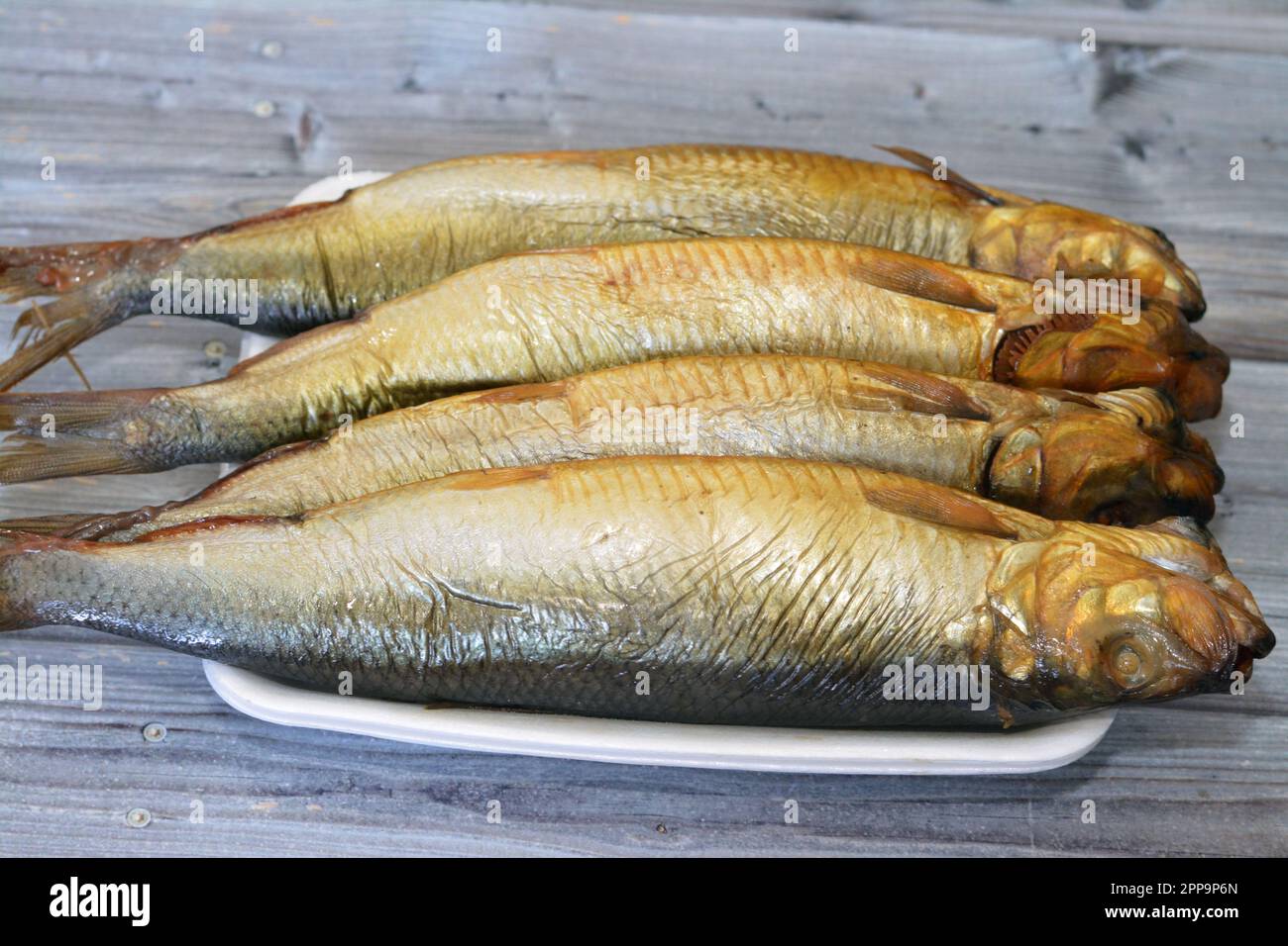 Smoked salty Herring forage fishes, salt-cured and smoked, also known ...