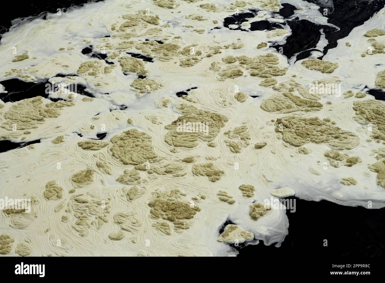 Dirty foam floating of the water surface Stock Photo - Alamy