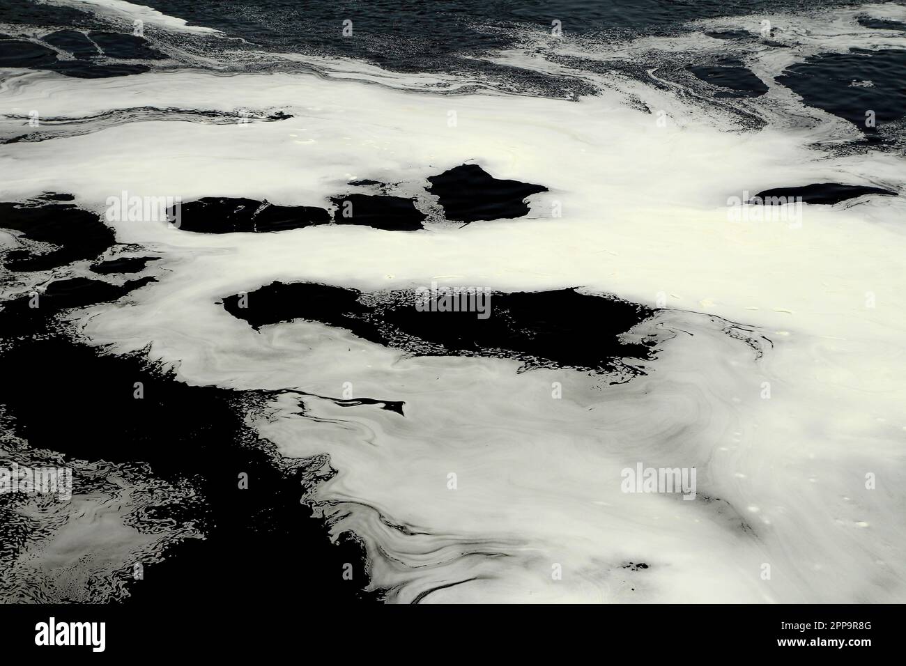 Dirty foam floating of the water surface Stock Photo - Alamy