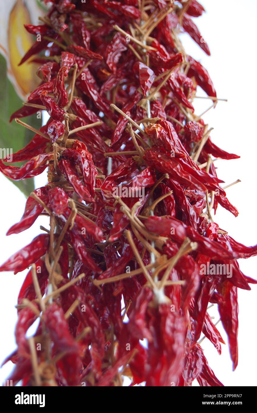 Rot chili hi-res stock photography and images - Alamy