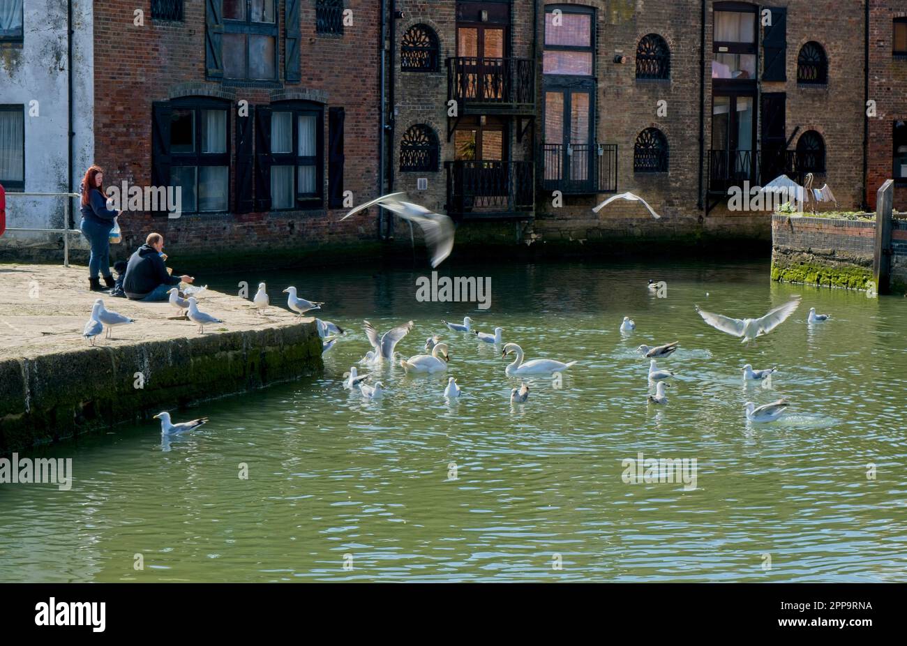 Family feeding birds by riverside Stock Photo - Alamy