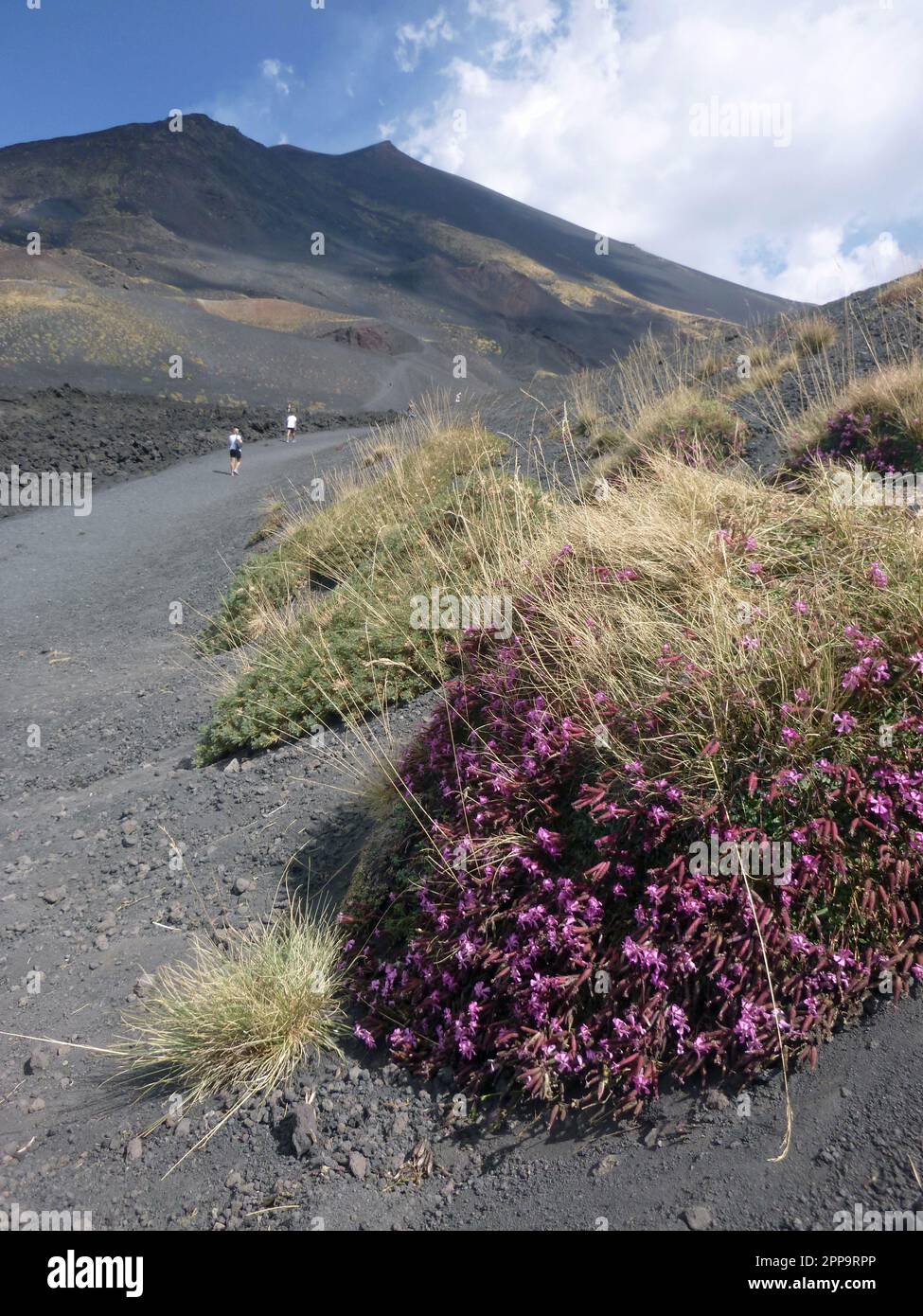 ätna vulkan hi-res stock photography and images - Alamy