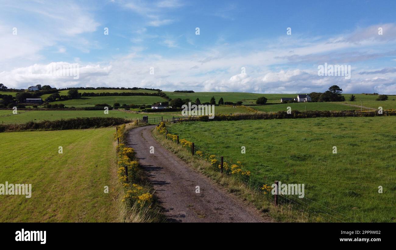 A road between fields. Blue sky over grass fields. Irish summer ...