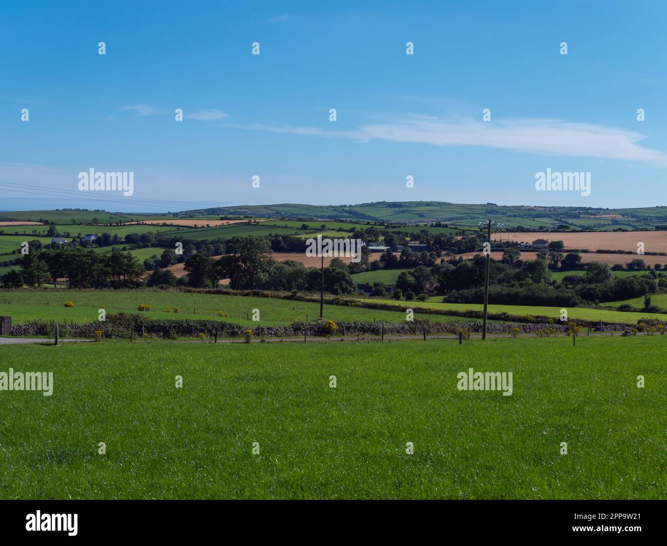 Irish farm fields under blue skies in summer. Landscape. Green grass ...