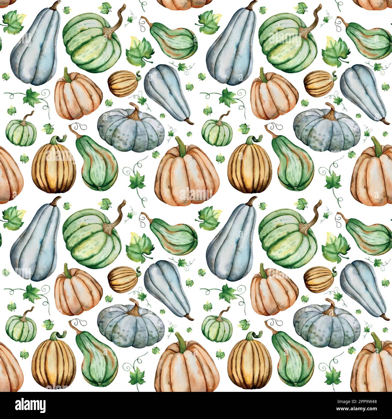 Watercolor vector pumpkins set of illustrations. Decoration with ...