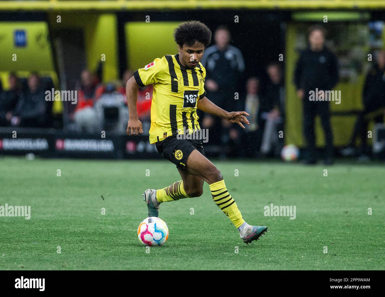 Dortmund, SignaI Iduna Park, 22.04.23: Karim David Adeyemi (Dortmund ...