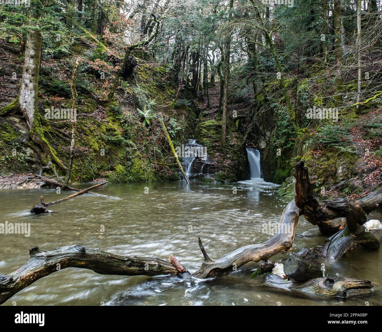 Ffynone hi-res stock photography and images - Alamy