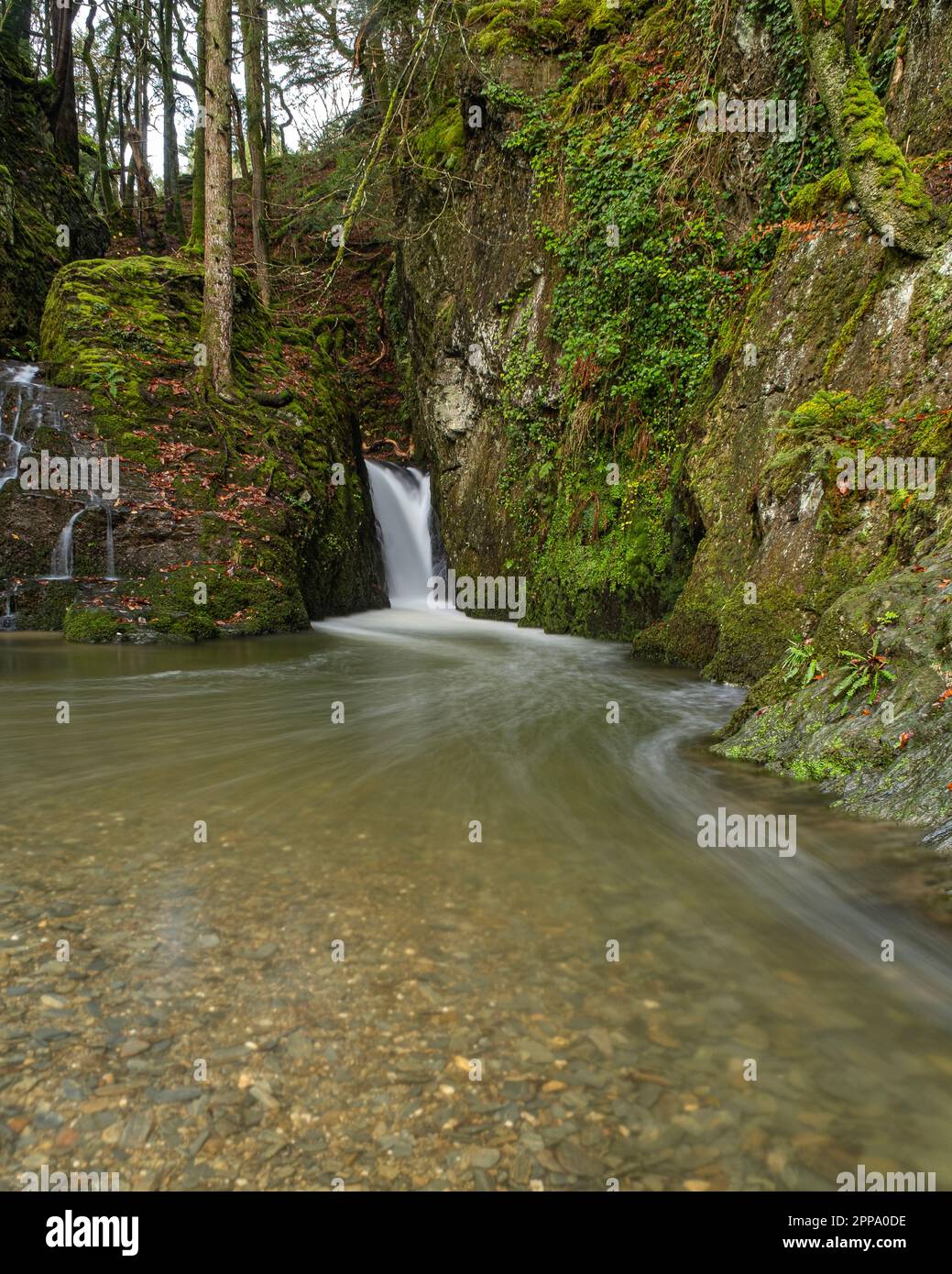 Ffynone hi-res stock photography and images - Alamy