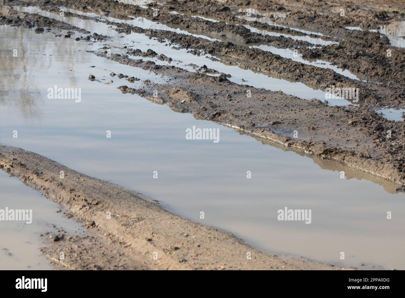 Mud, puddles, a country road after rain. Soggy ground Stock Photo - Alamy