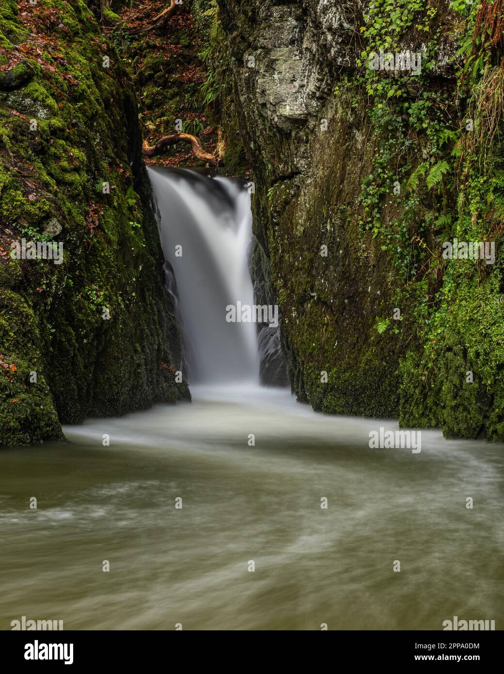 Ffynone hi-res stock photography and images - Alamy