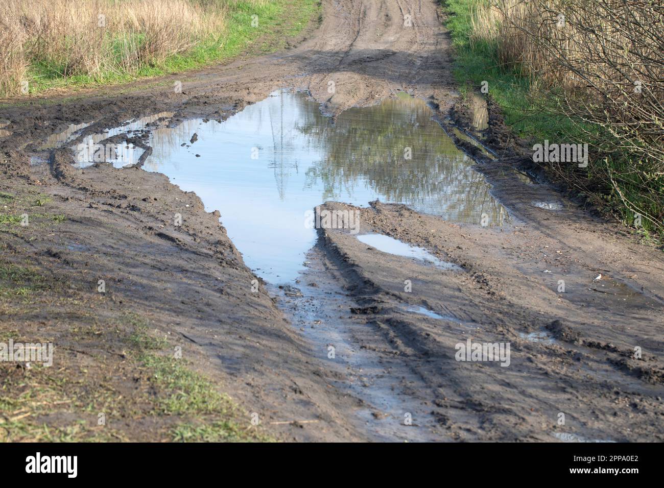 Mud, puddles, a country road after rain. Soggy ground Stock Photo - Alamy