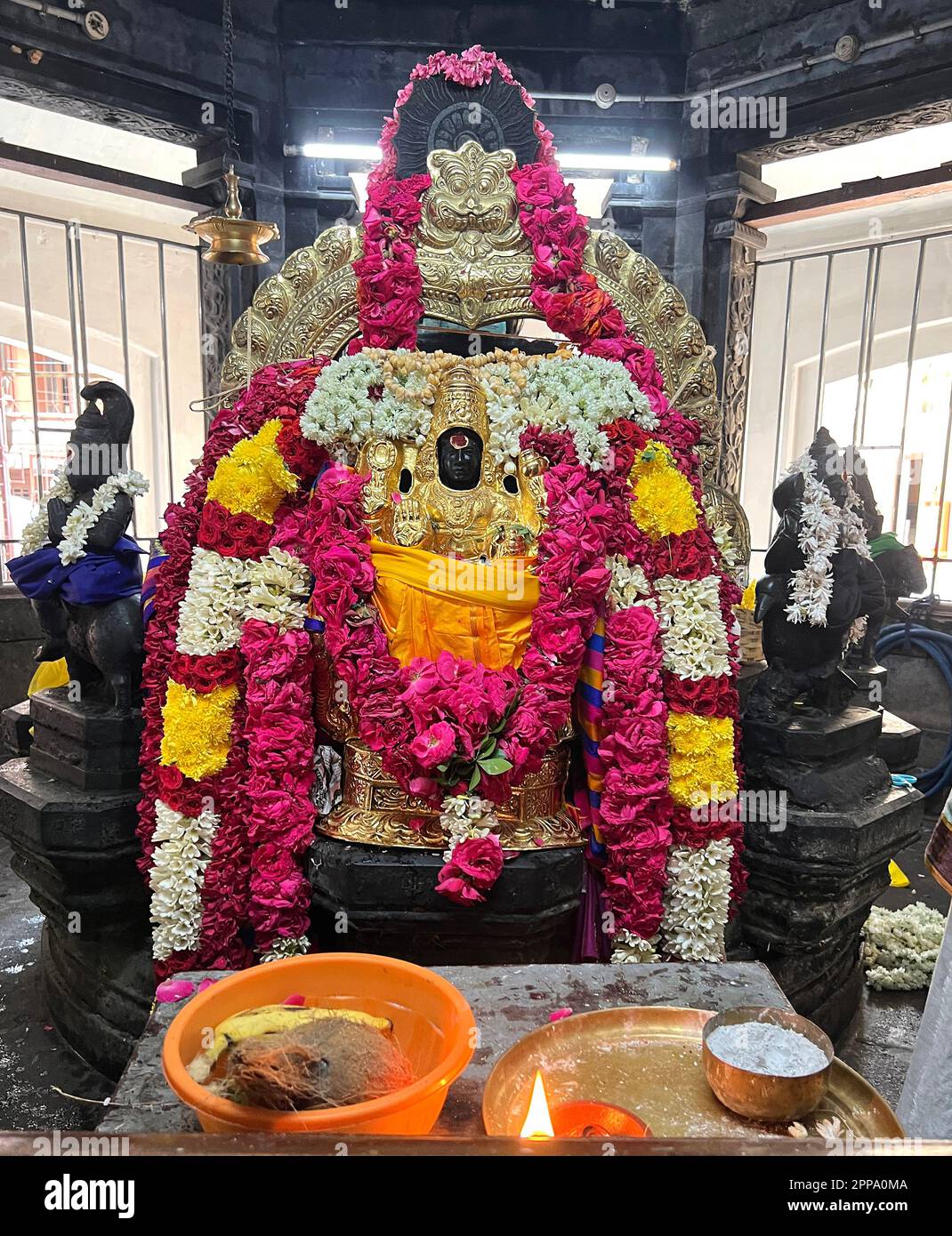 Jupiter (Guru/Brihaspati) is a planet which denotes or indicates ...